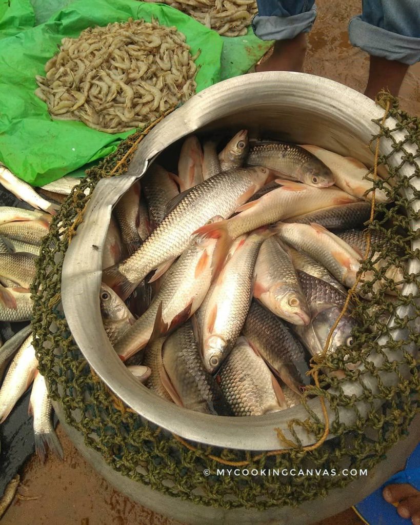Fish with Malabar spinach | Poi Machha | My Cooking Canvas