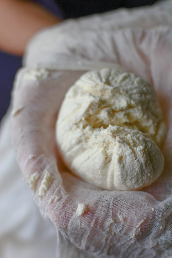 Best Chenna Payesh Recipe by MyCookingCanvas