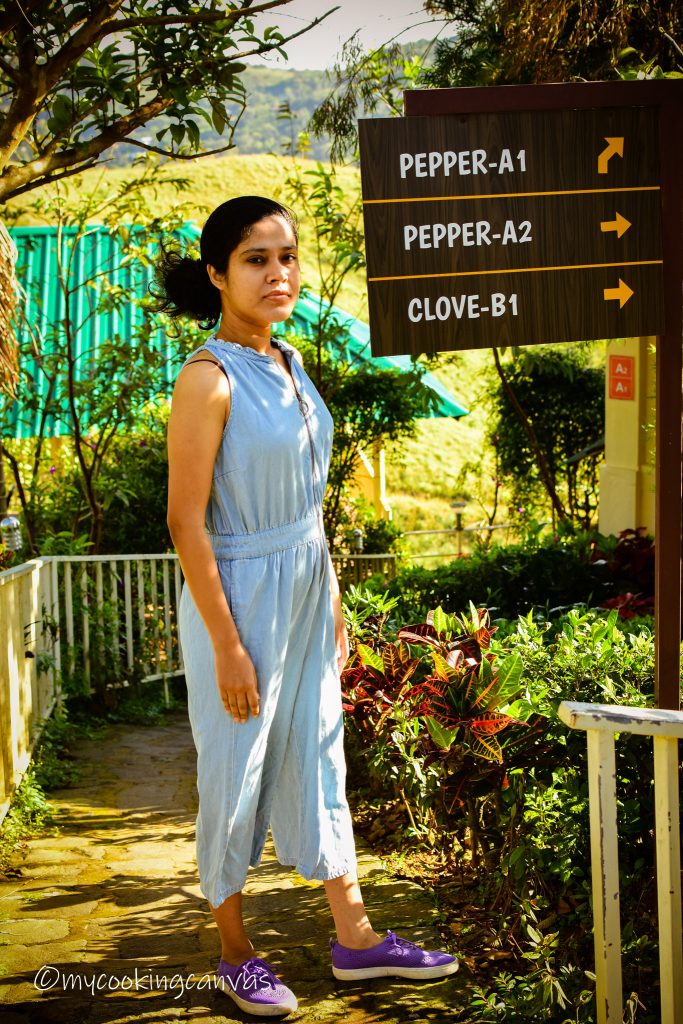 Seven things to do in Vagamon ,WinterVale Green Stay | Mycookingcanvas